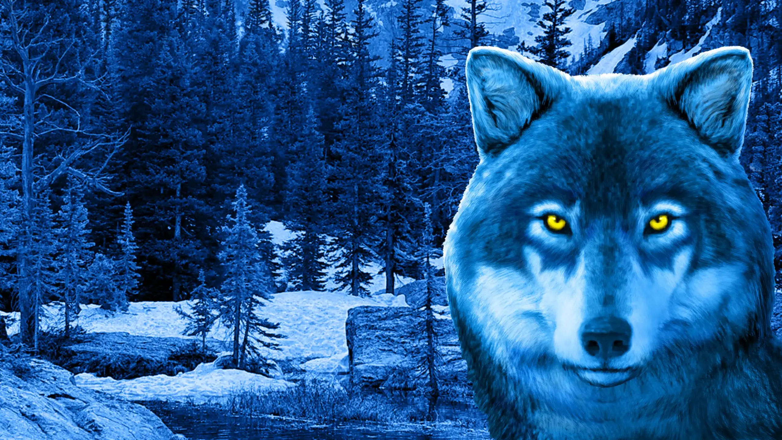 Shining Wolf